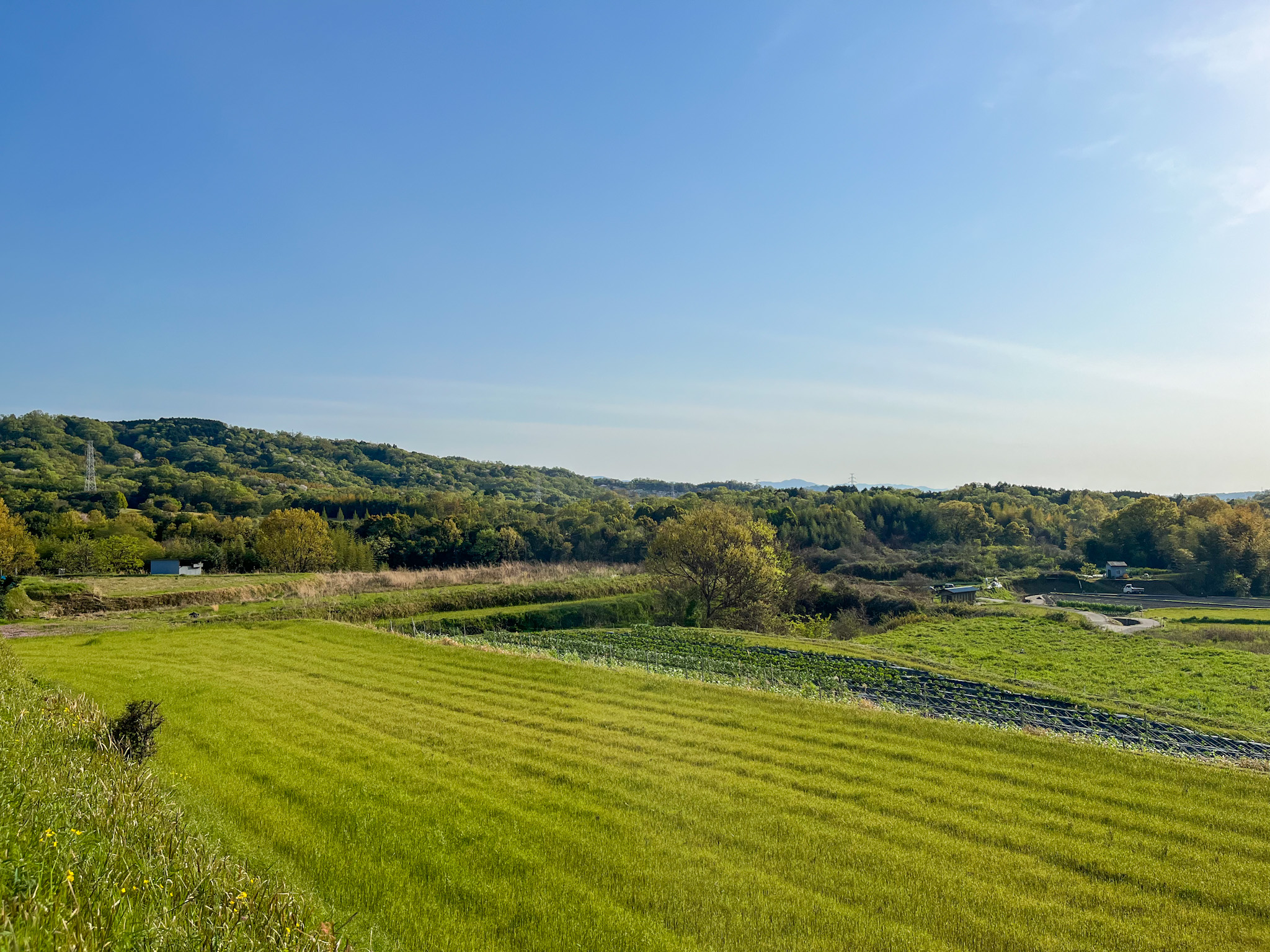 WORKS - TELOS Lab.（テロスラボ）