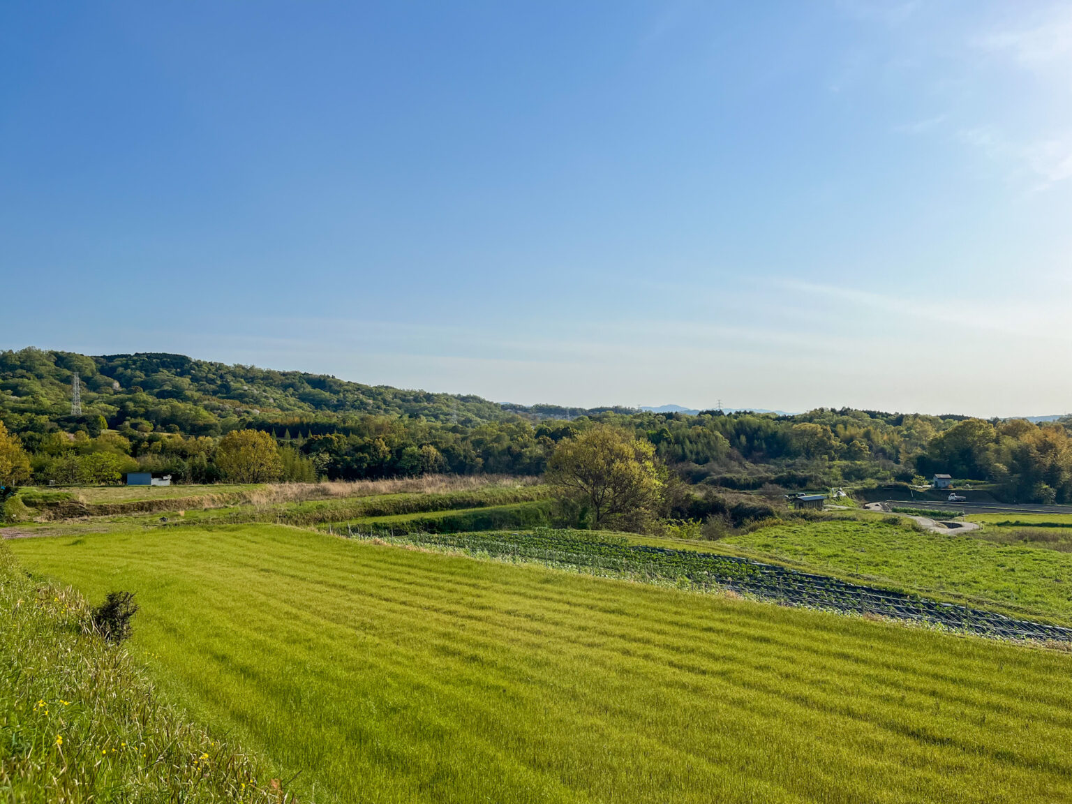 TELOS Lab.（テロスラボ） - 藤井寺駅前の地域創生型就労継続支援B型事業所